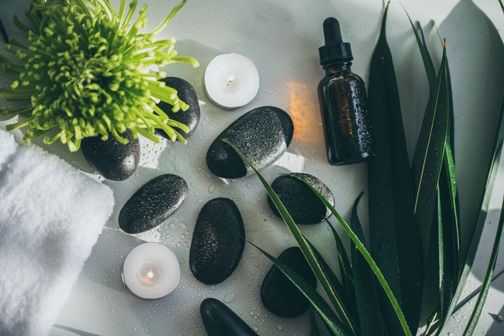 CALM Skin Care | Natural Sustainable Skincare | Handmade Chicago USA